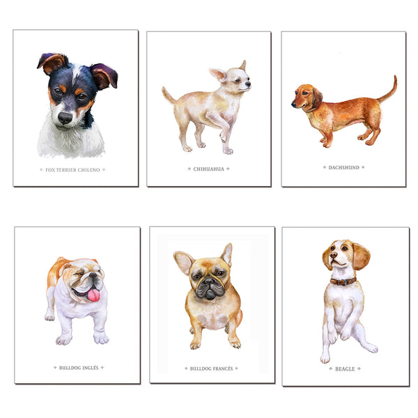Pack de 6 láminas para enmarcar de Perros tipicos chilenos diseño 2 ...